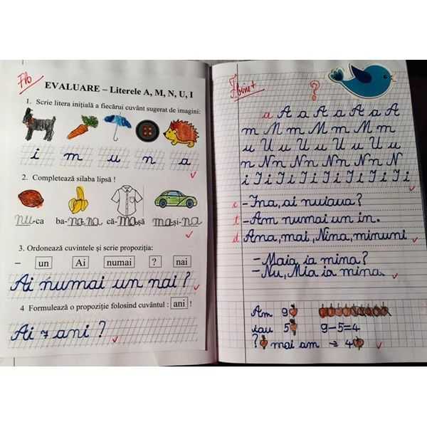 Copilul-meu.numlit.eu | Dictando Special 60pg Numlit CD60 F10514